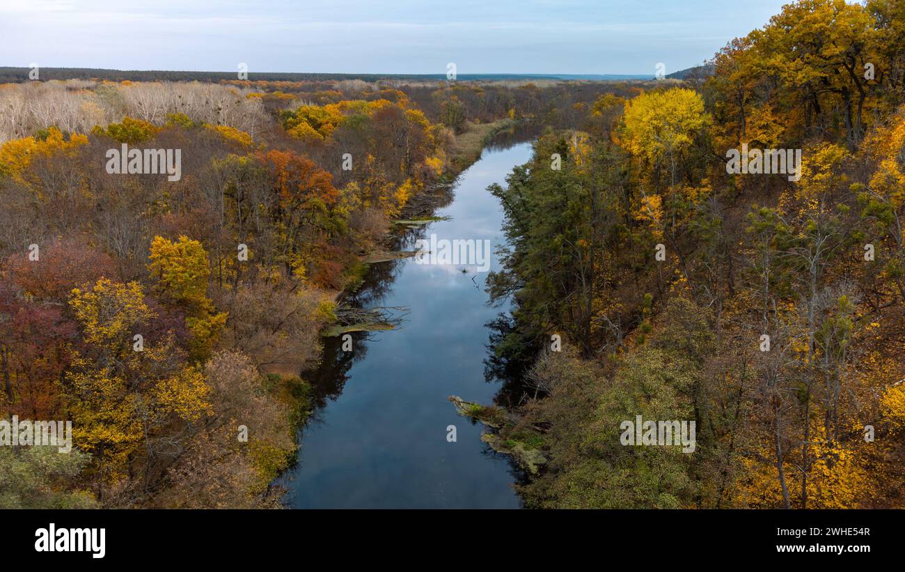 Autumn aerial river and golden trees forest landscape with grey sky ...