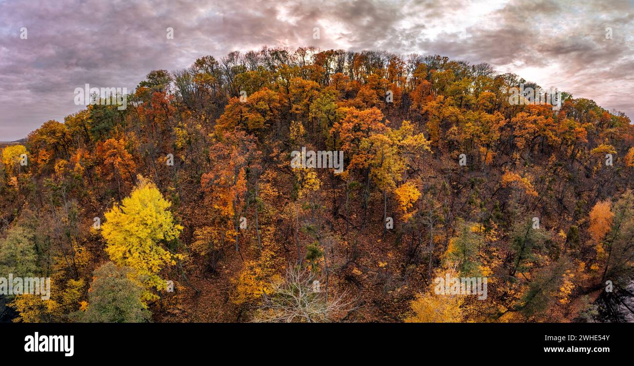 Autumn dramatic panorama of colorful forest with clouds. Autumnal ...