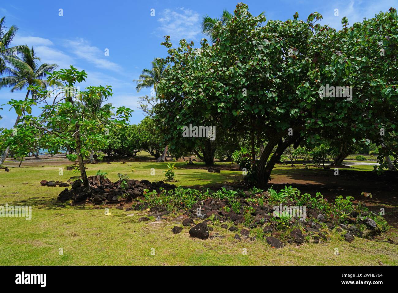 RAIATEA, FRENCH POLYNESIA – 15 DEC 2023 – View of the Marae ...