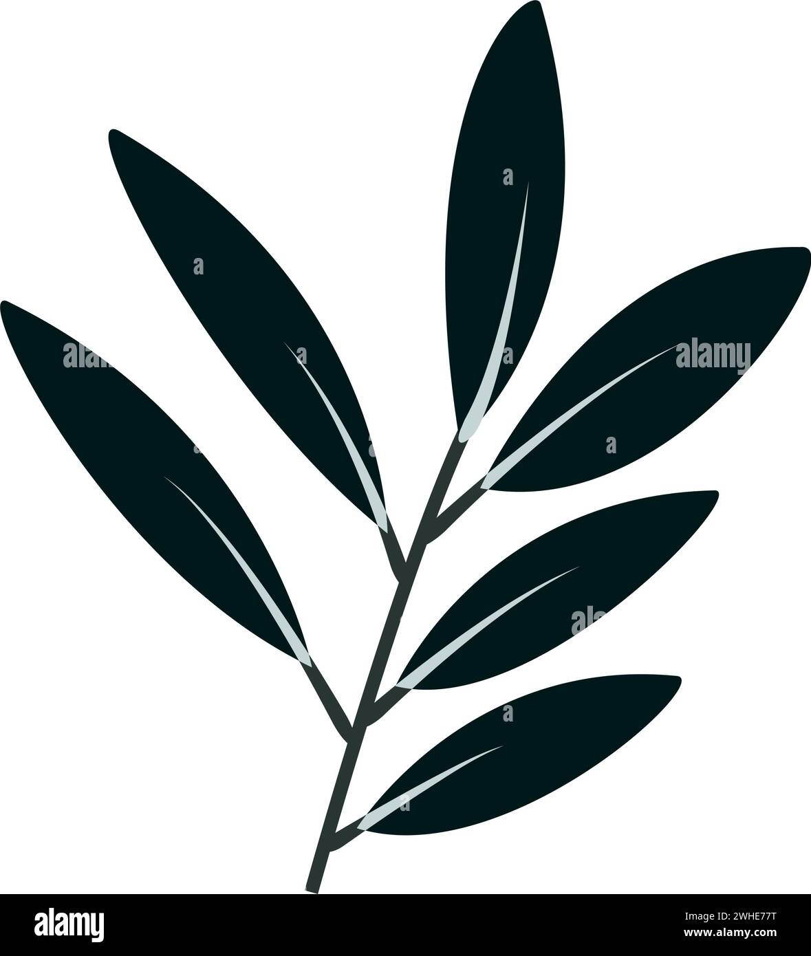 Isolated colored natural leaf icon Vector Stock Vector Image & Art - Alamy