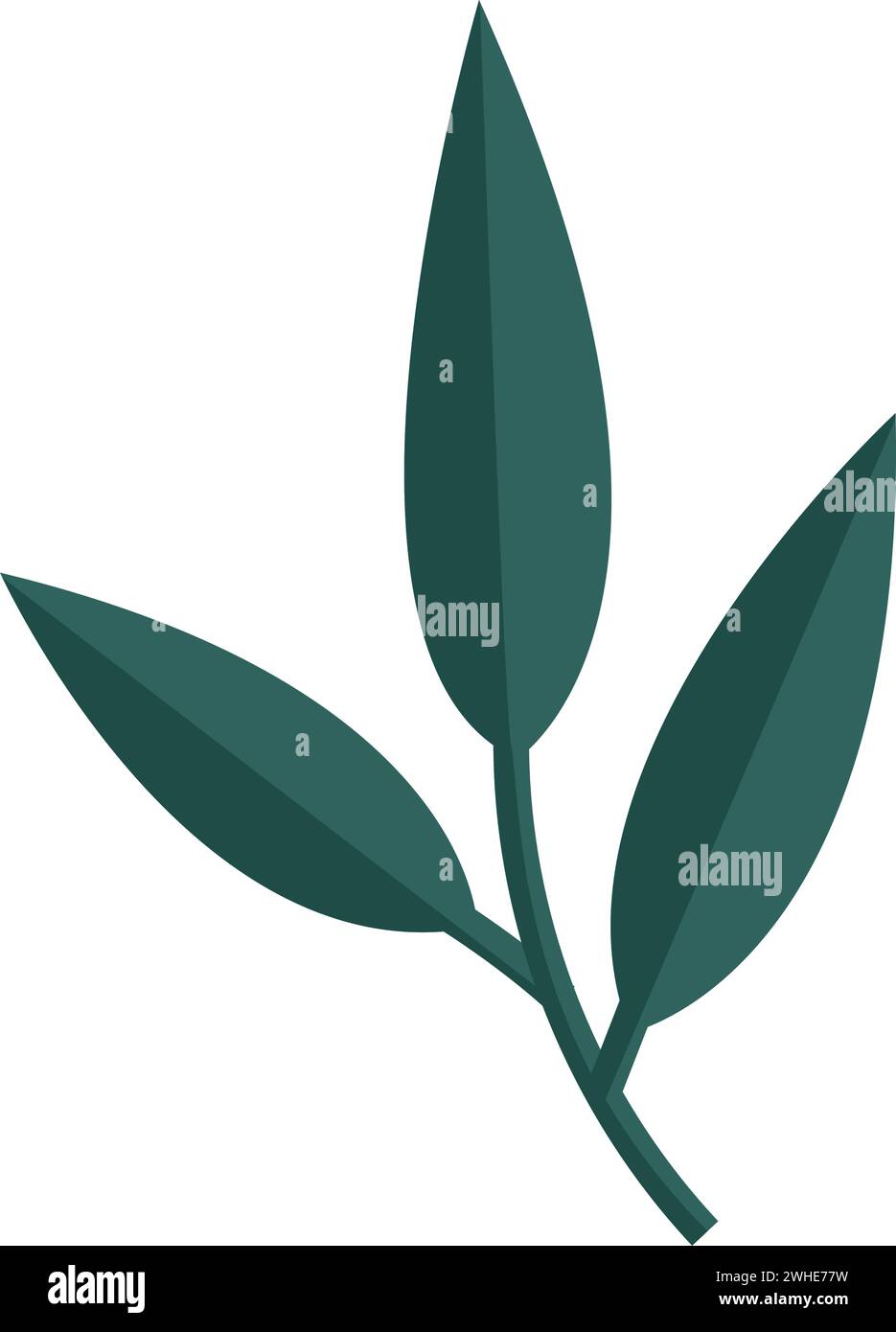 Isolated colored natural leaf icon Vector Stock Vector Image & Art - Alamy