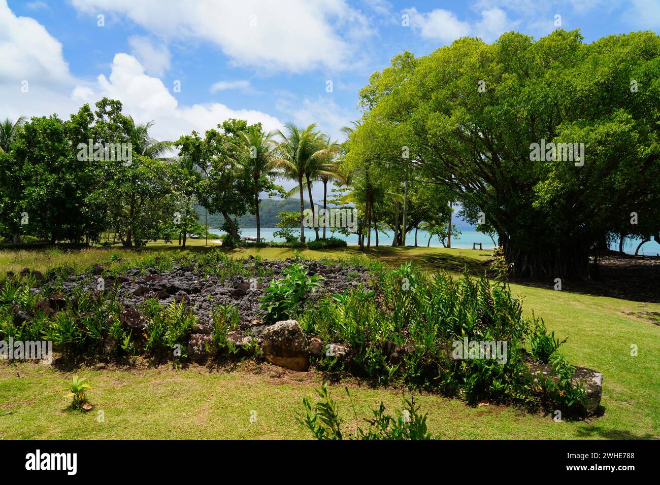Maori civilization hi-res stock photography and images - Alamy