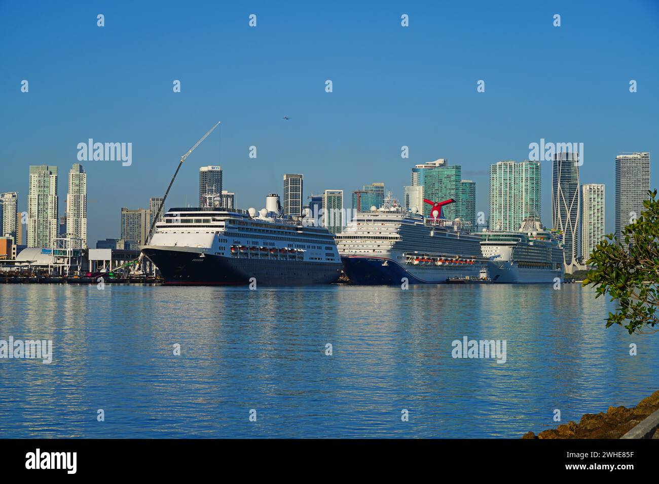 MIAMI BEACH, FL -3 FEB 2024- View of cruiseships lined up at dock at ...