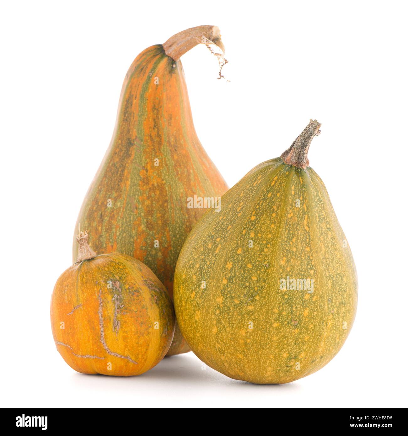 Gourd pumpkins harvest decoration hi-res stock photography and images ...