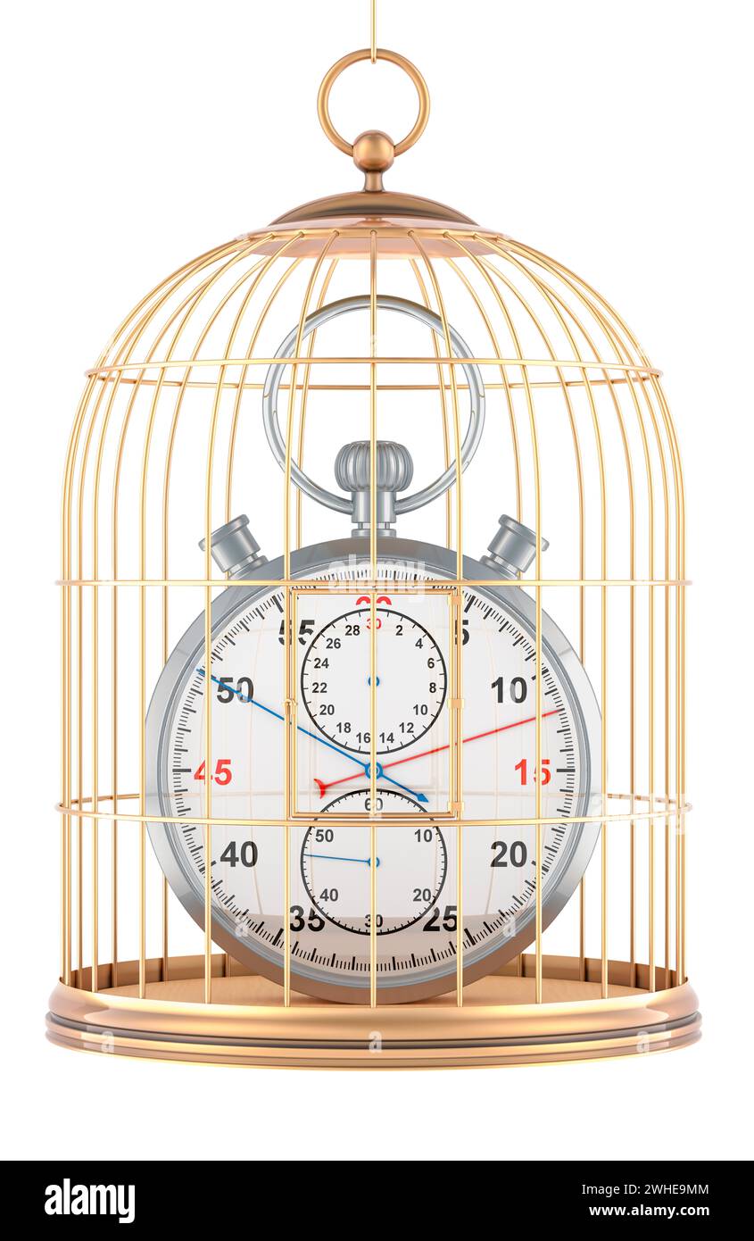Stopwatch inside birdcage, 3D rendering isolated on white background ...