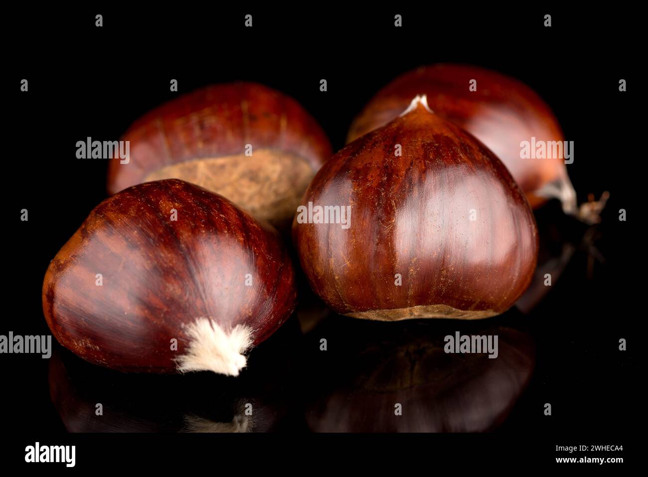 Reflective bean hi-res stock photography and images - Alamy