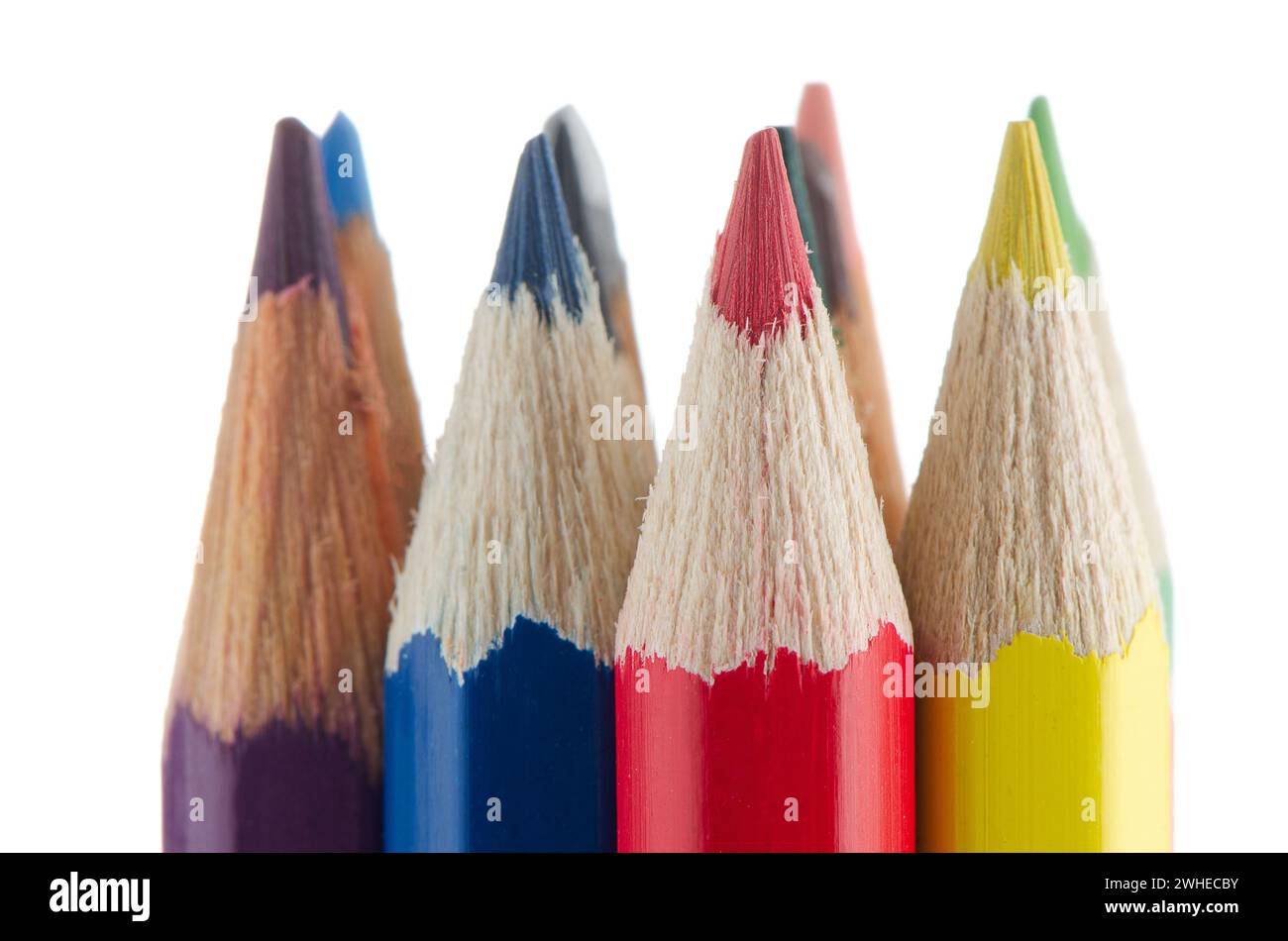 Vibrant color palette hi-res stock photography and images - Alamy