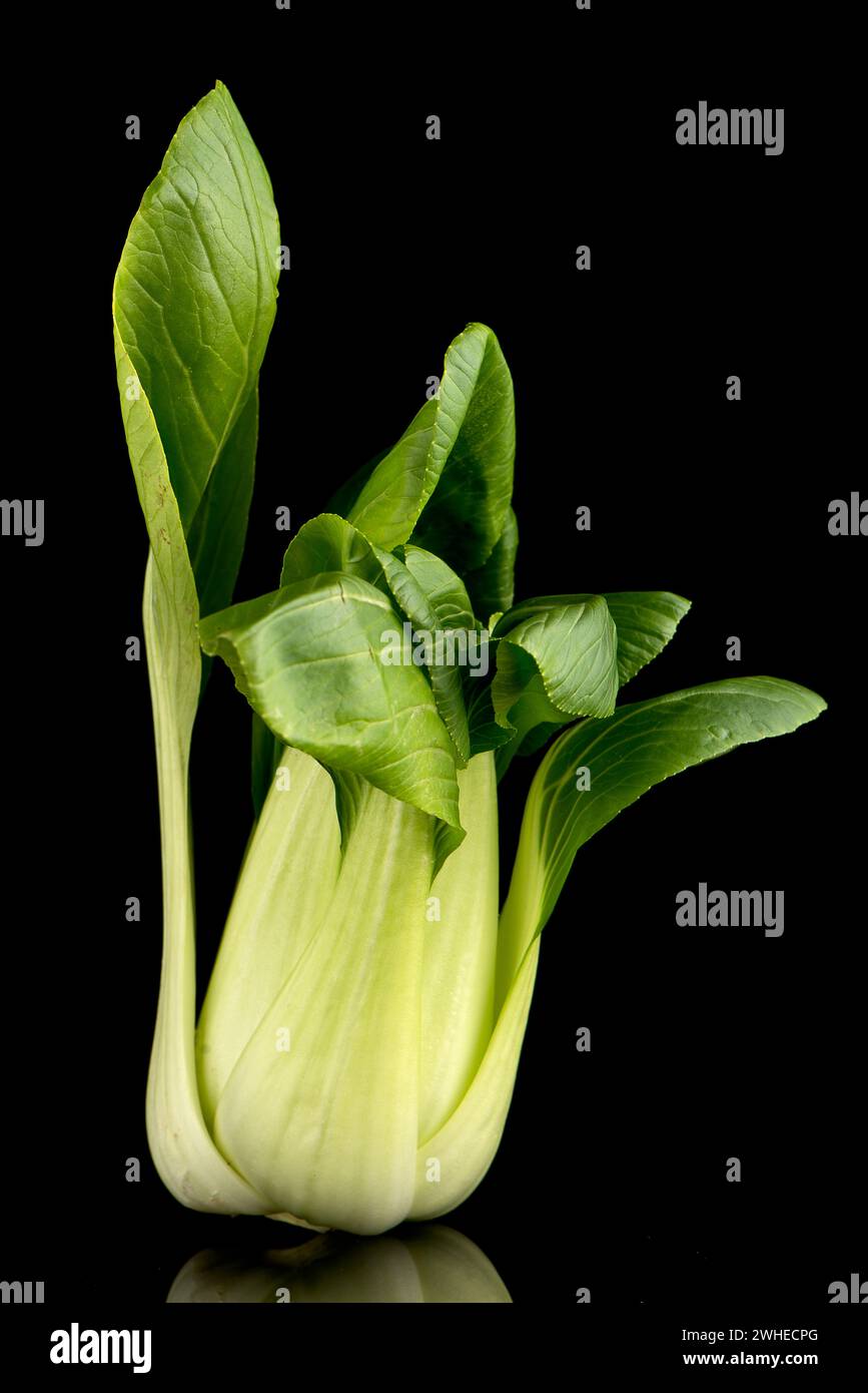 Pak choi on black Stock Photo - Alamy