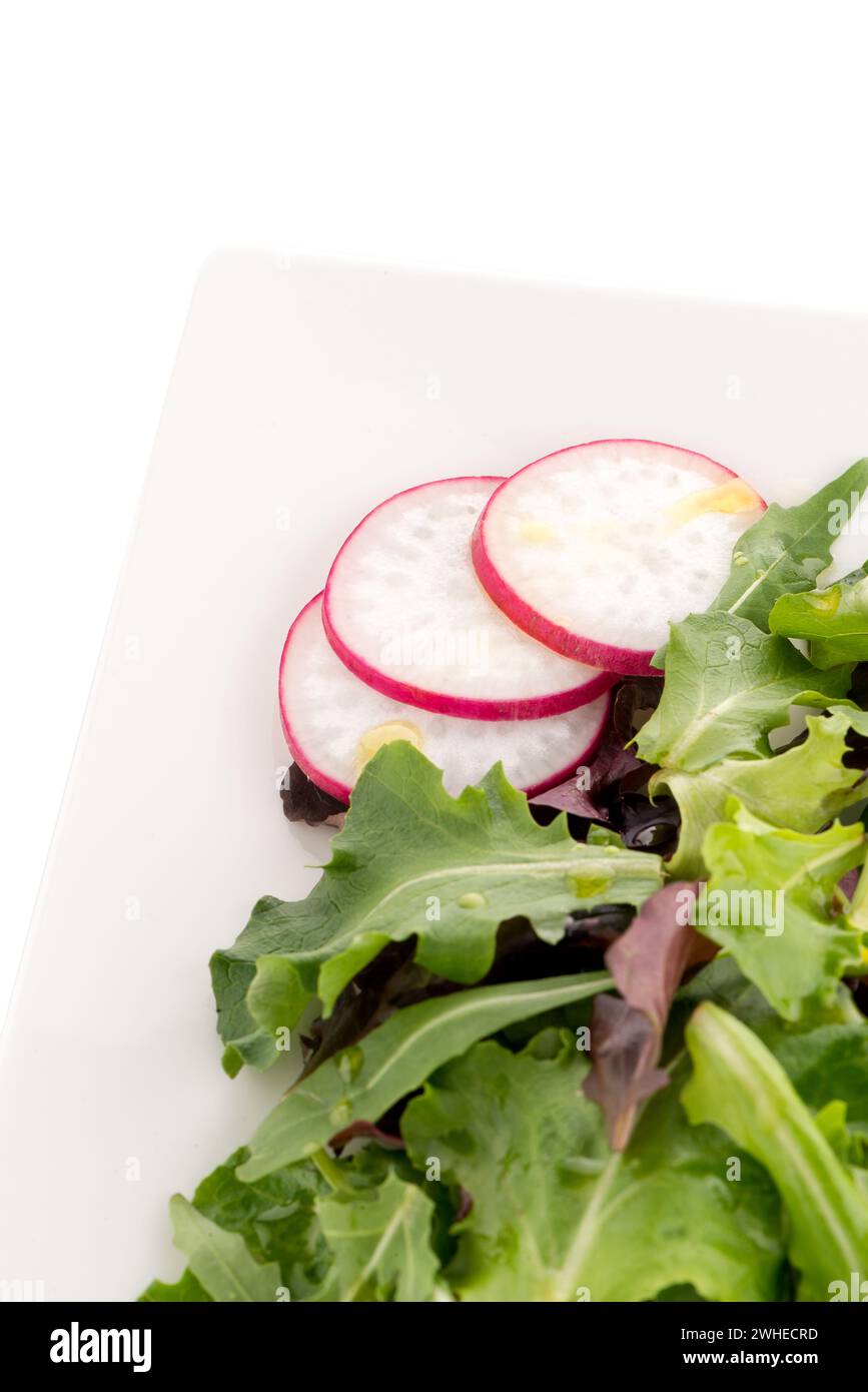 Mix of leaf hi-res stock photography and images - Alamy