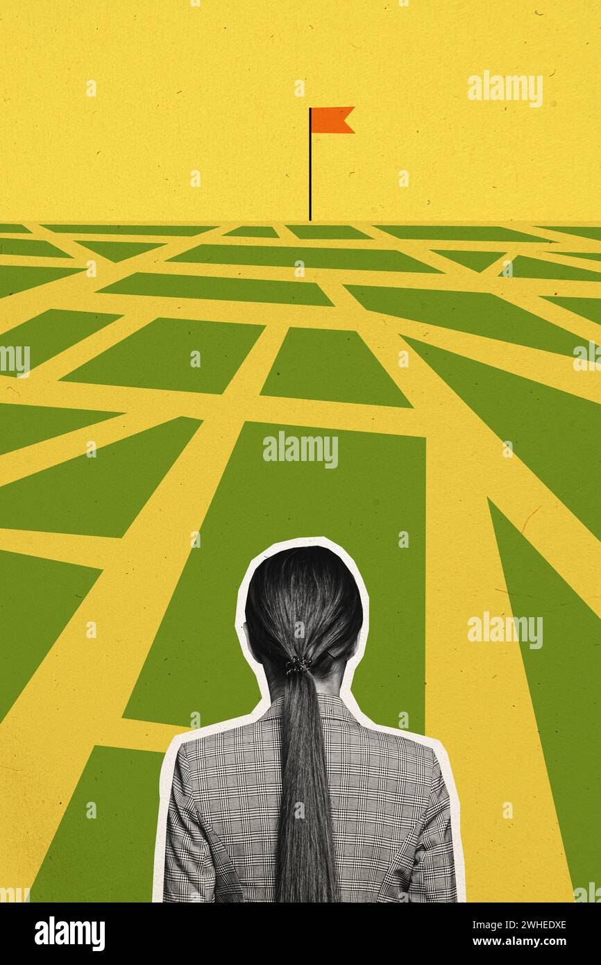 Collage picture of woman choose way to success walking achieving flag ...