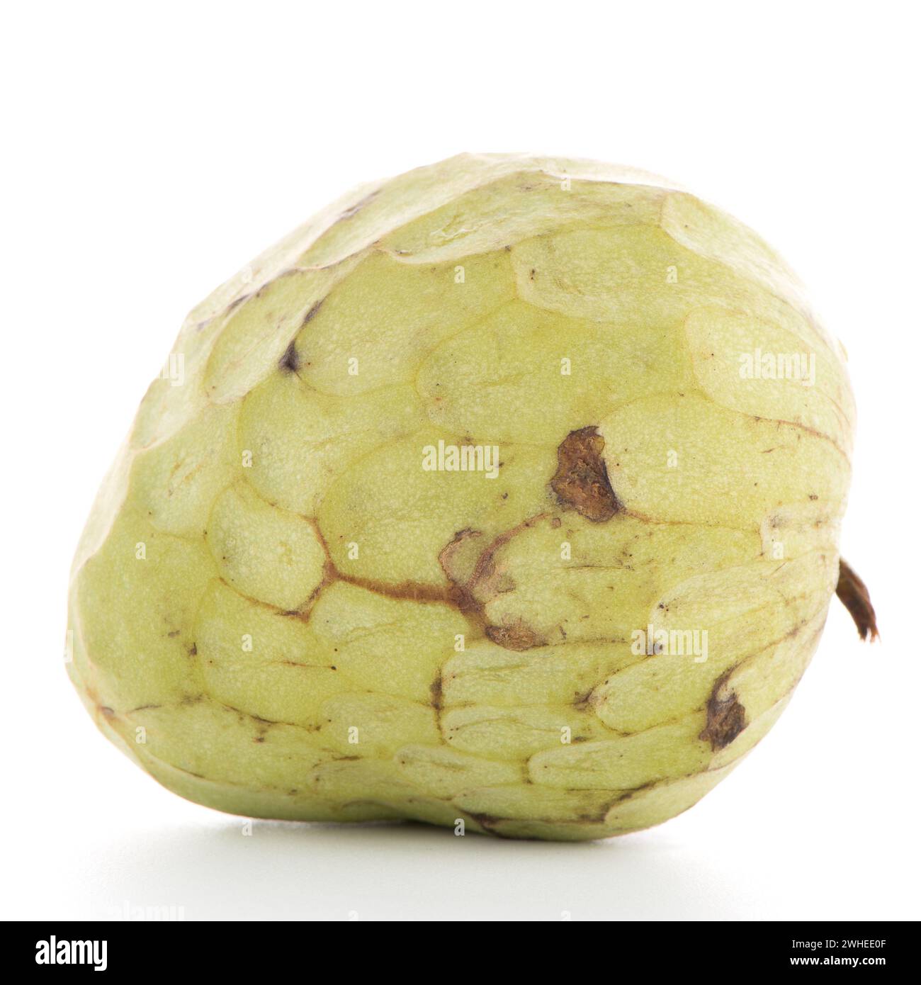 Fresh Custard Apple Stock Photo - Alamy