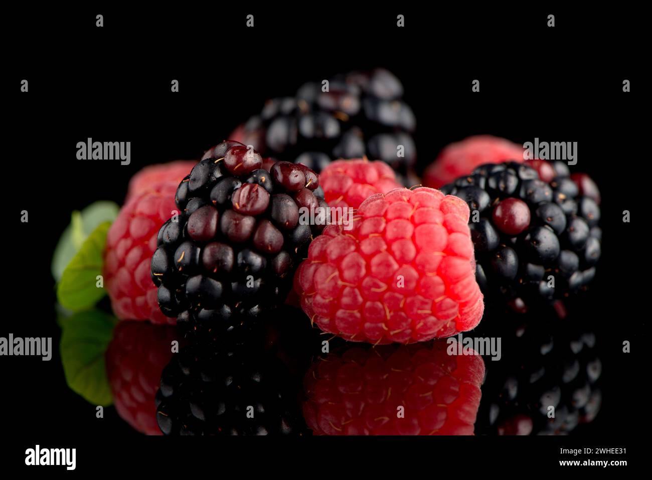 Blackberry and raspberry Stock Photo - Alamy