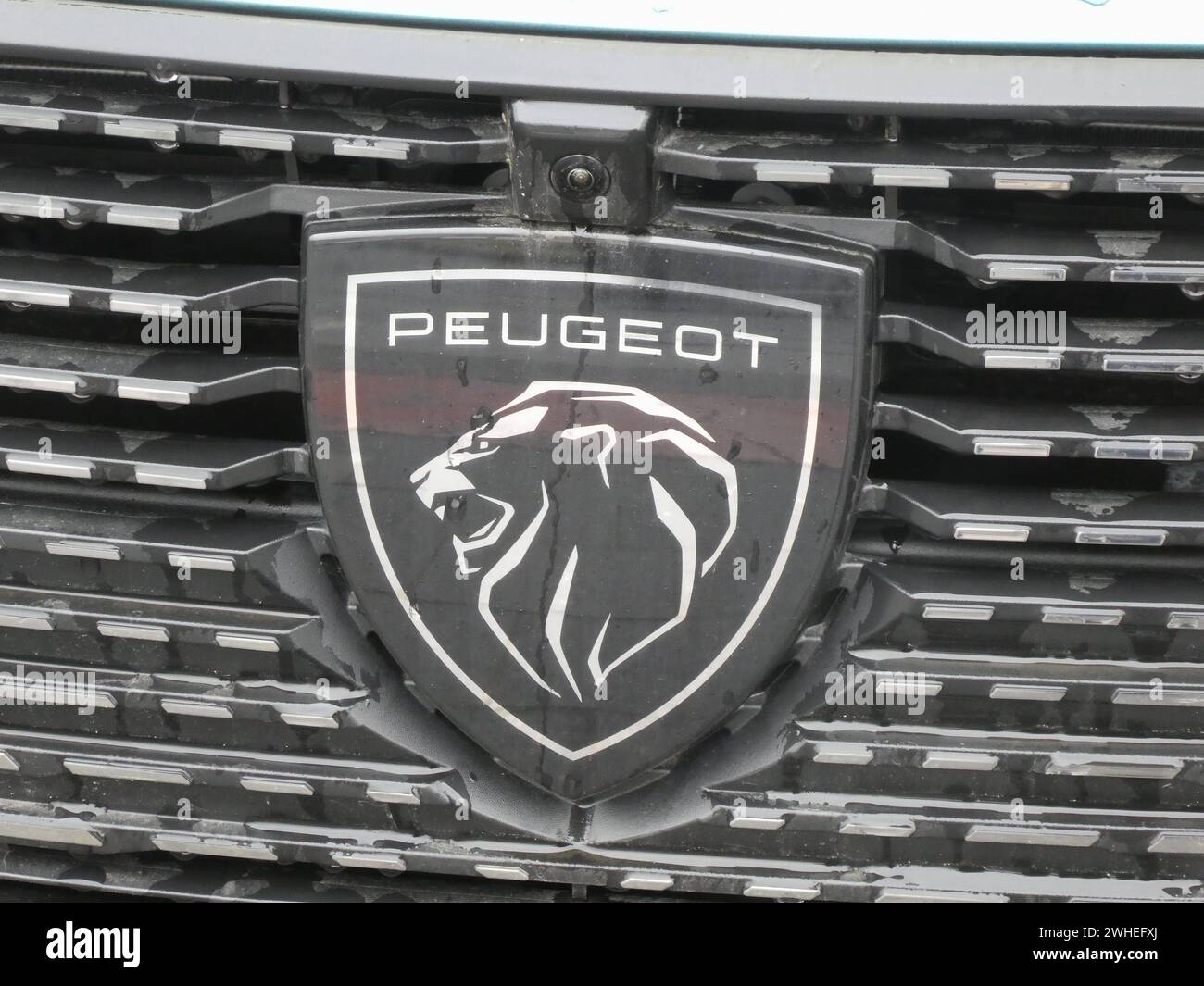 Logo, Schriftzug des französischen Automobilhersteller Peugeot, eine ...