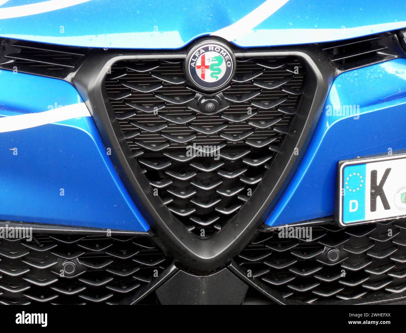 Logo, Schriftzug des italienischen Automobilhersteller Alfa Romeo, eine ...