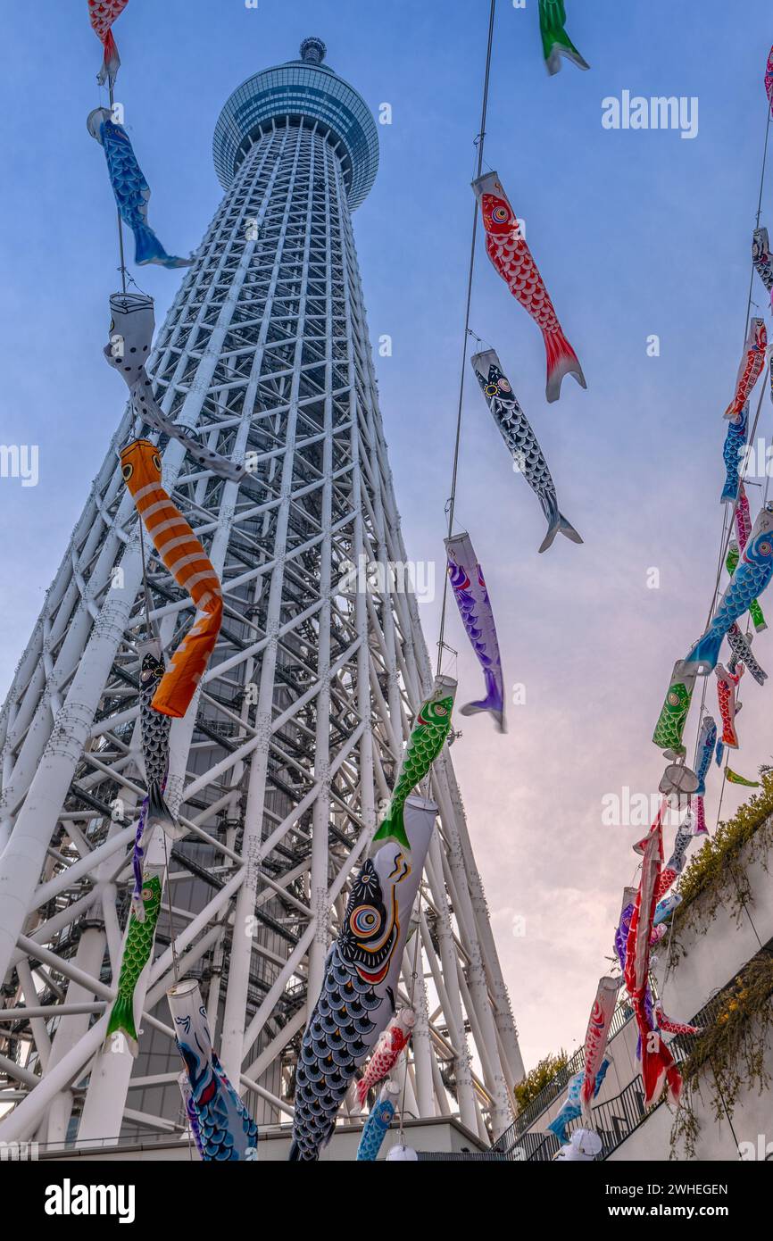 Sumida, Tokyo, Japan. May 06, 2023 : Tokyo Skytree with, colorful carp ...