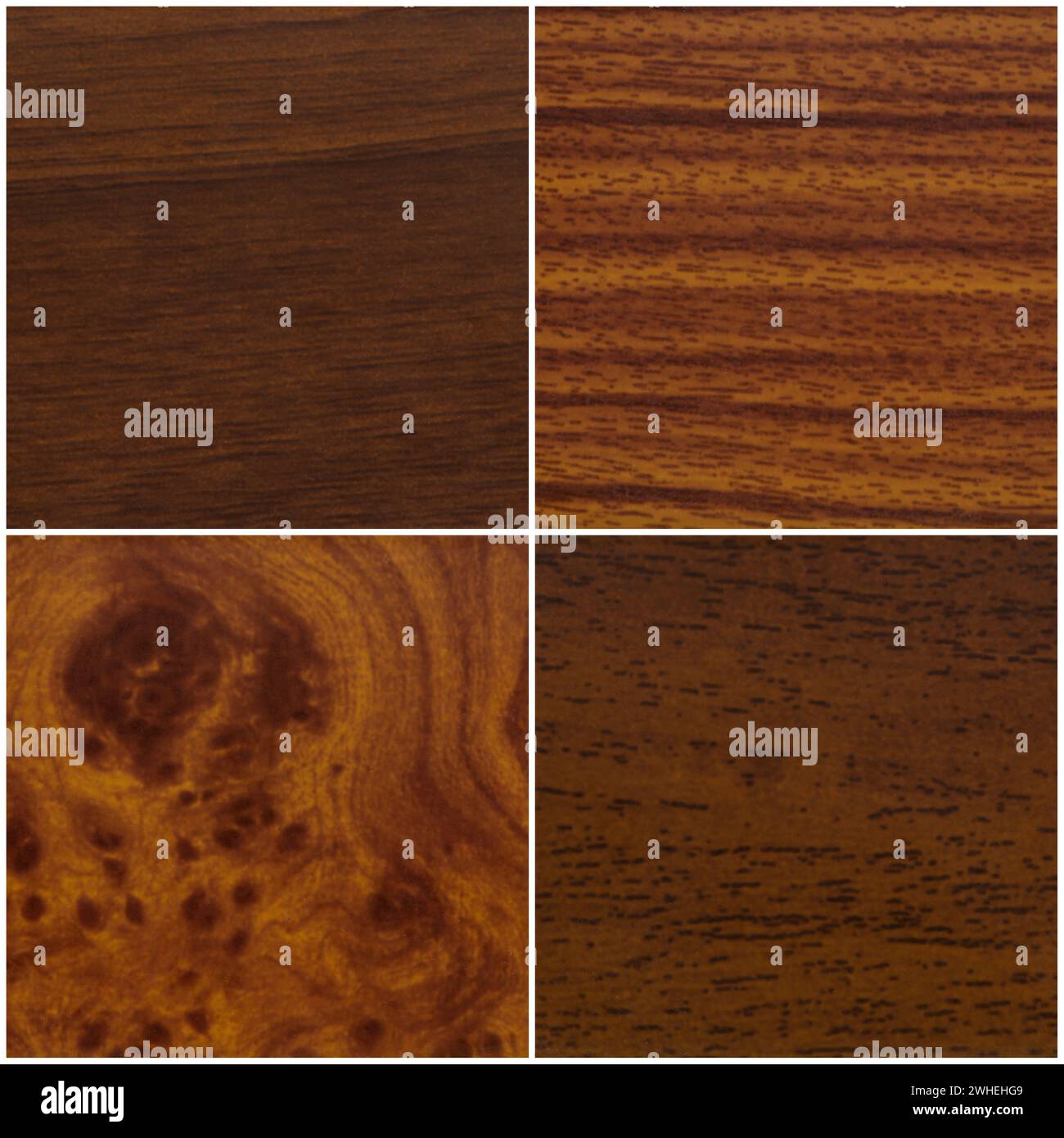 Wood light texture natural Cut Out Stock Images & Pictures - Alamy