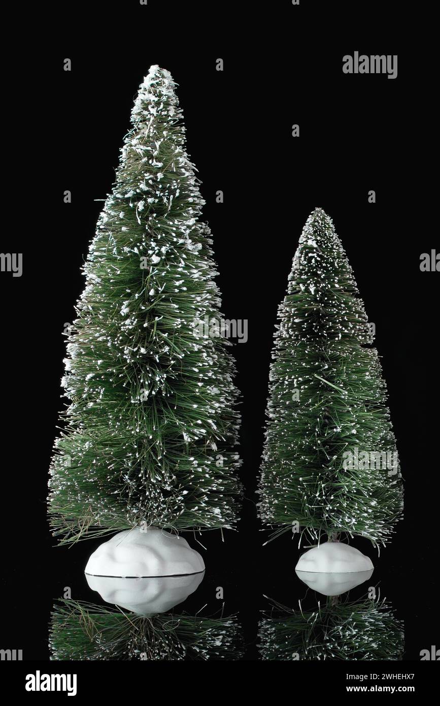 Miniature pine trees Stock Photo - Alamy