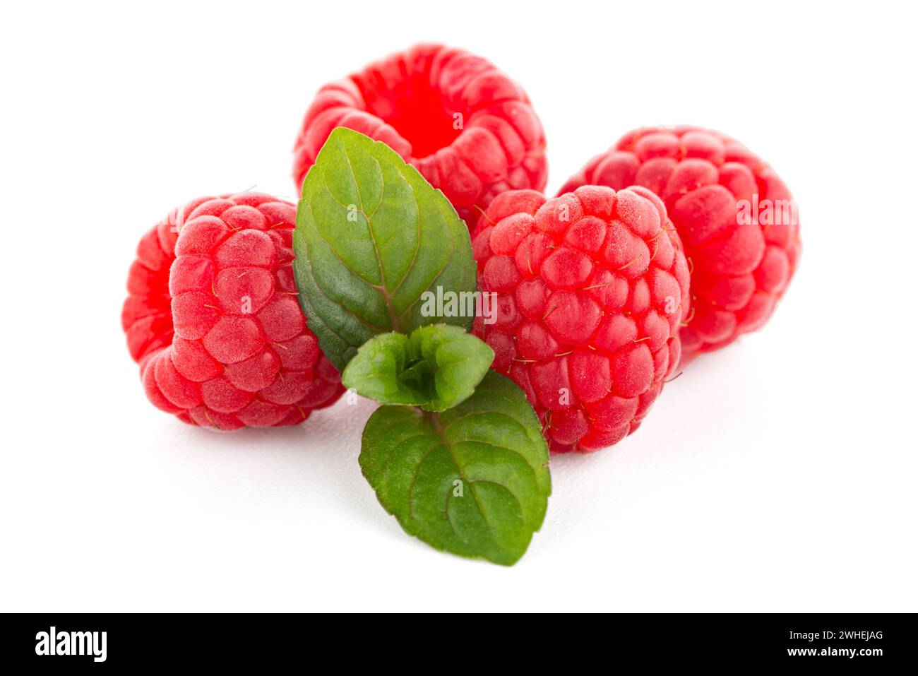 Red fresh raspberries leaves hi-res stock photography and images - Alamy