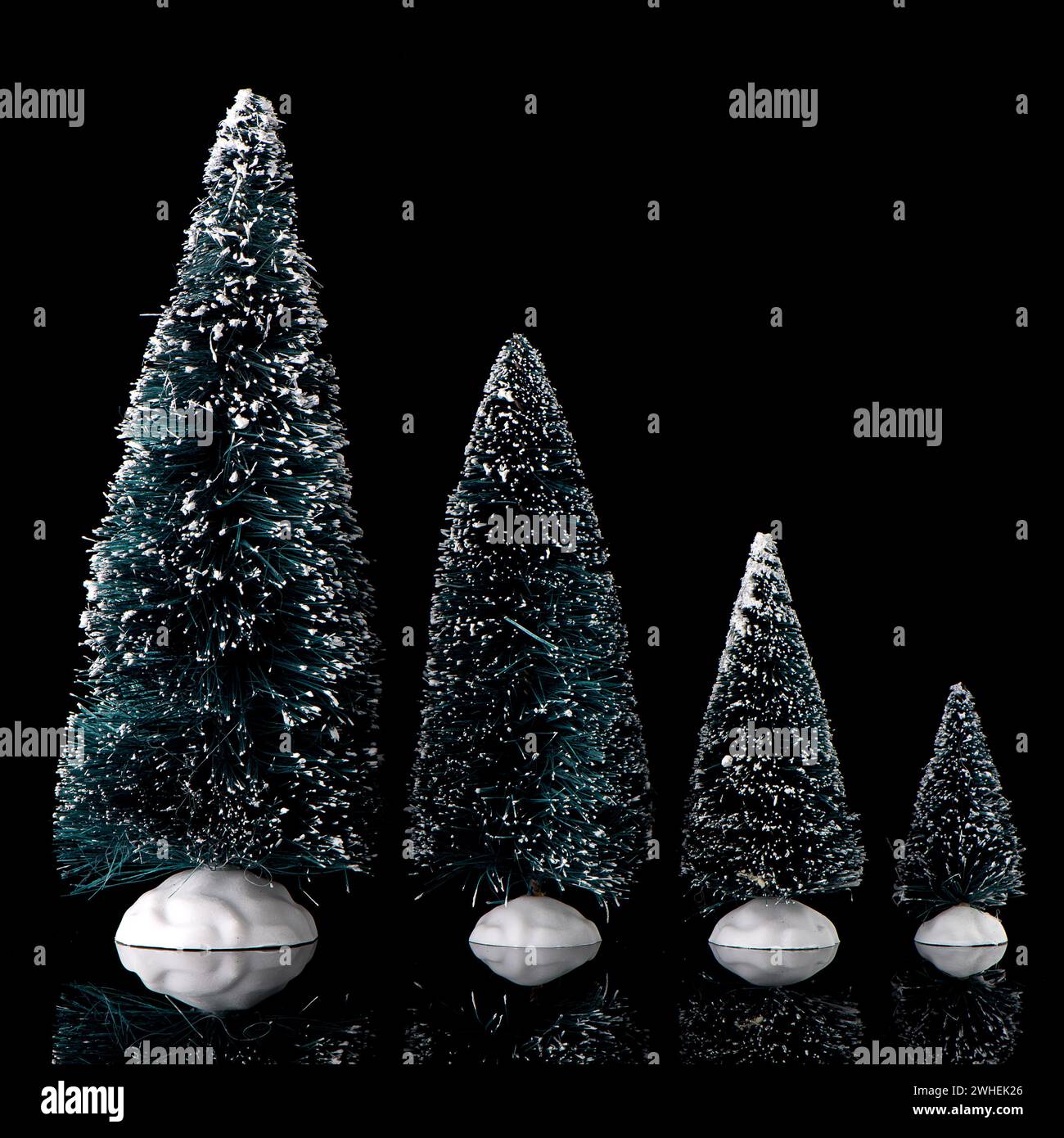 Miniature trees hi-res stock photography and images - Alamy