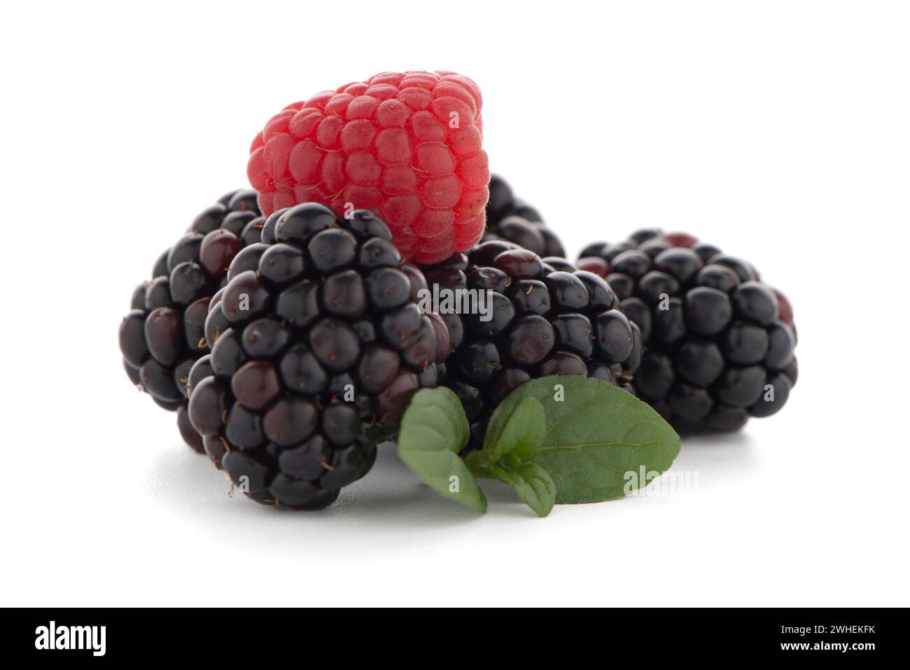 Raspberry with blackberry Stock Photo - Alamy