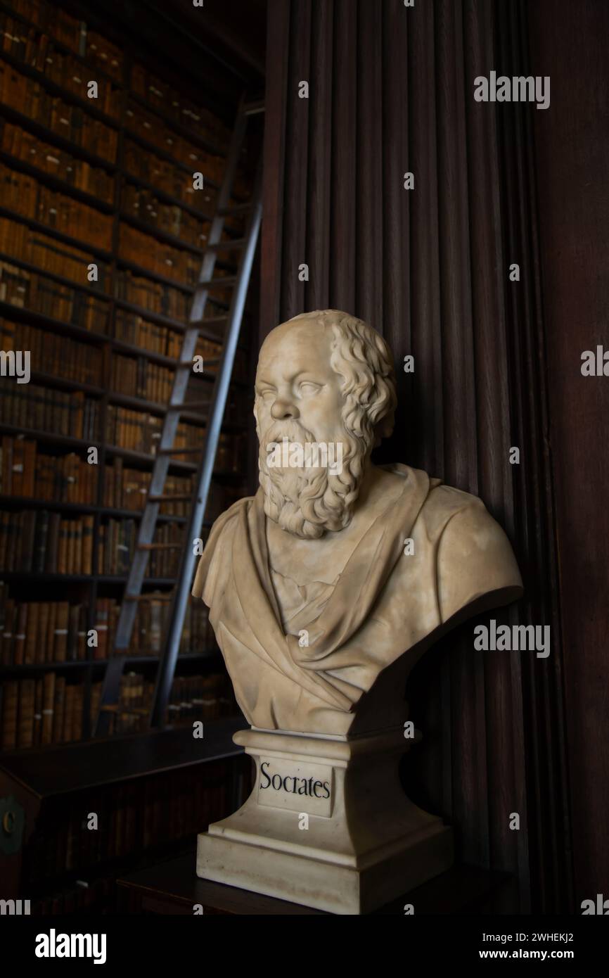 Modern library ladder hi-res stock photography and images - Alamy