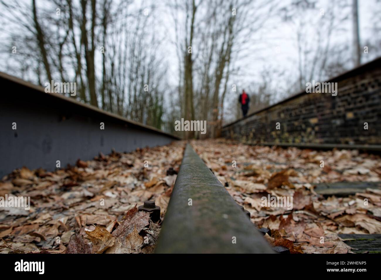 "26.01.2024, Germany, Berlin, Berlin - Track 17 memorial at Grunewald ...