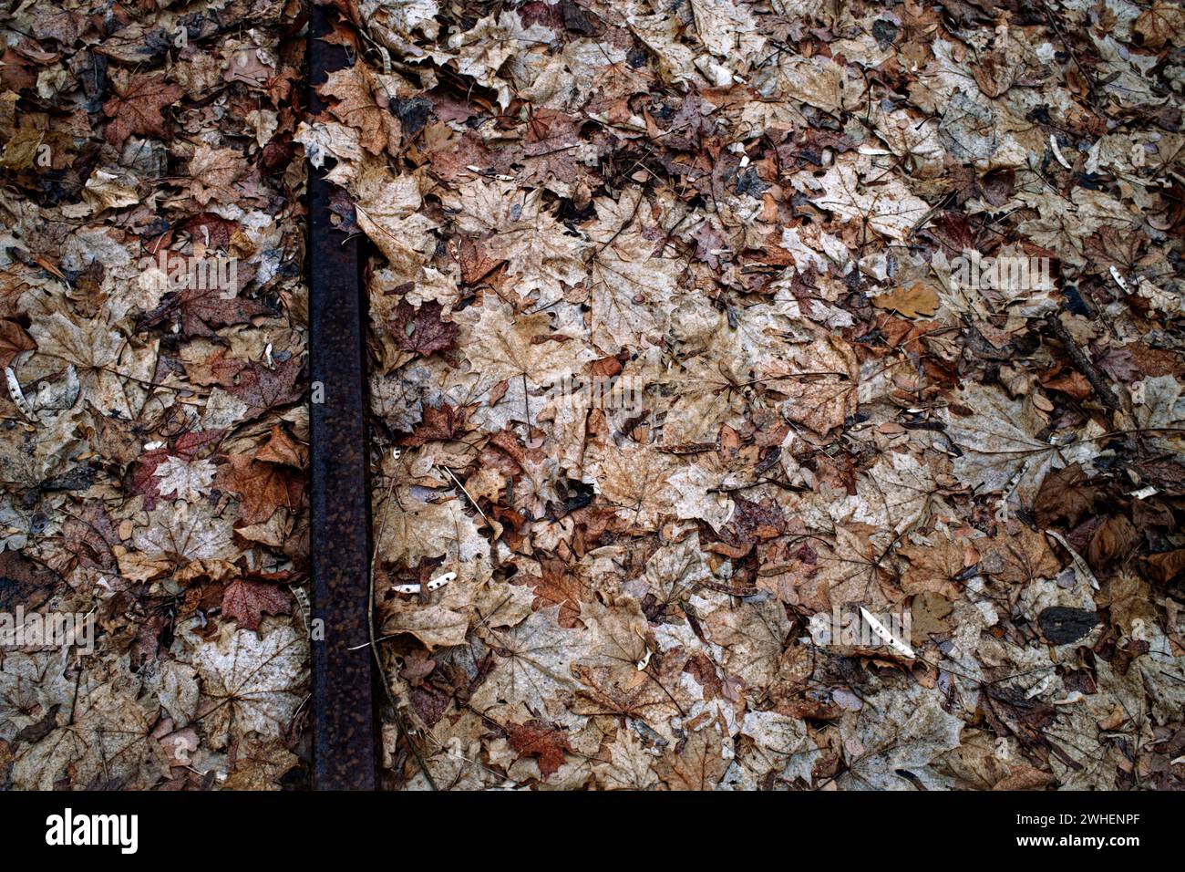 "25.01.2024, Germany, Berlin, Berlin - Track 17 memorial at Grunewald ...
