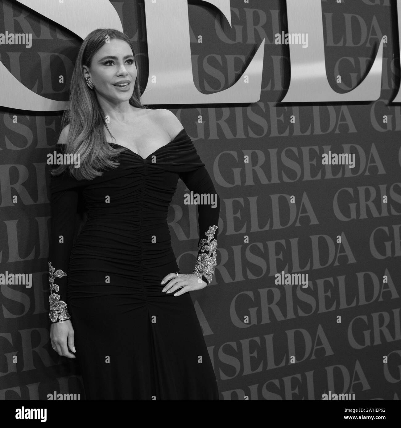 Sofía Vergara attends the 'Griselda' premiere at Callao Cinema on ...