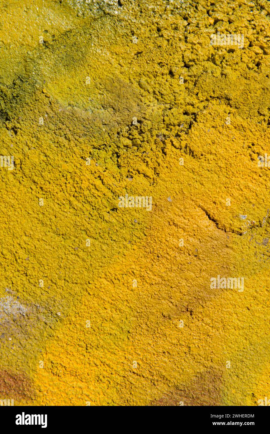 Colorful painted wall Stock Photo - Alamy