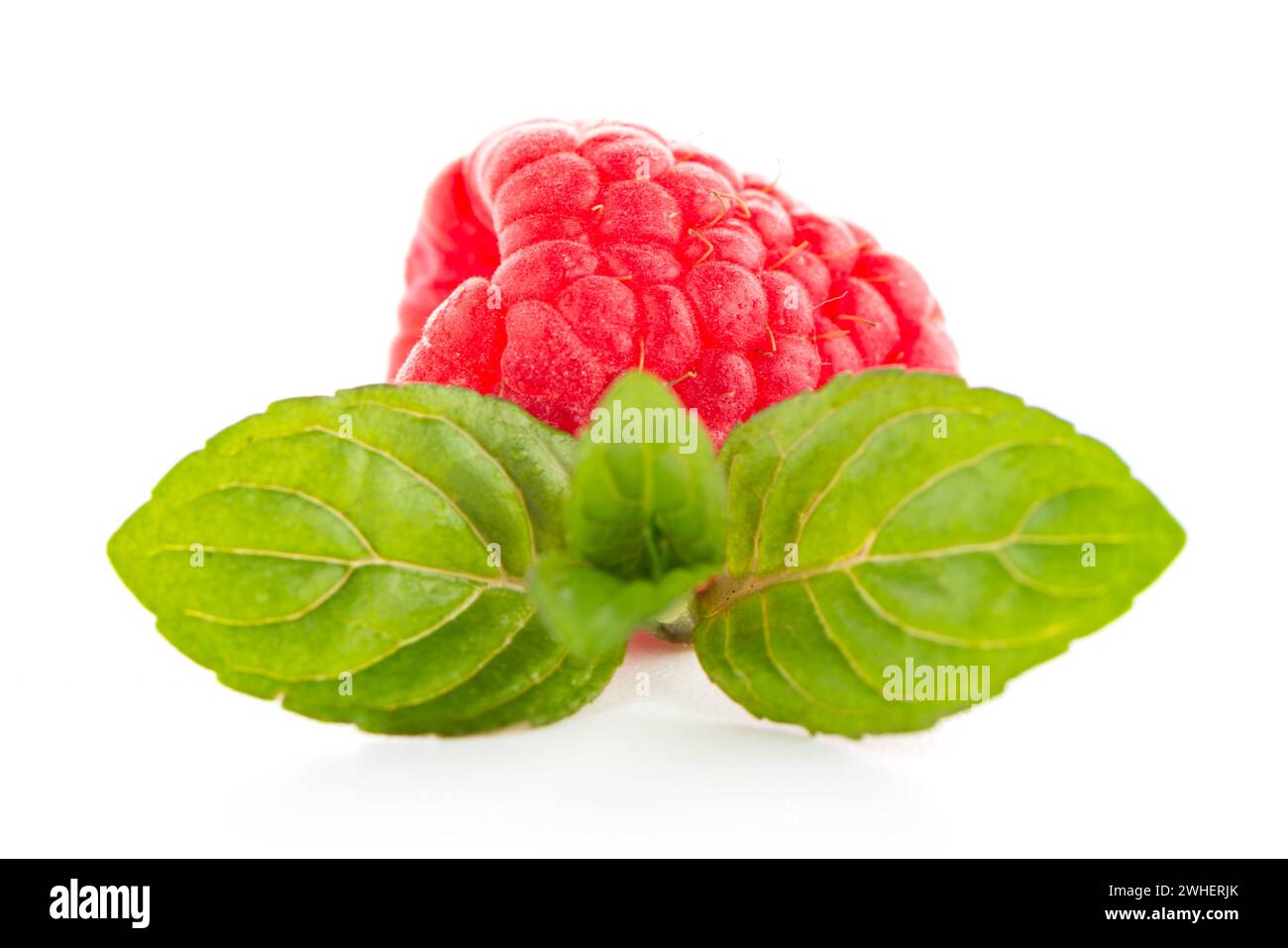 Raspberry fruit isolated Stock Photo - Alamy