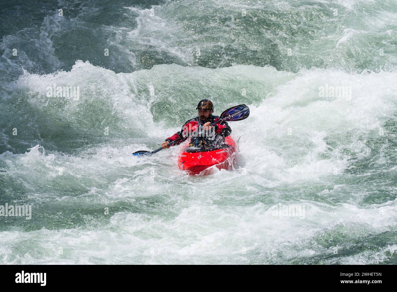 Pedro gomes hi-res stock photography and images - Alamy