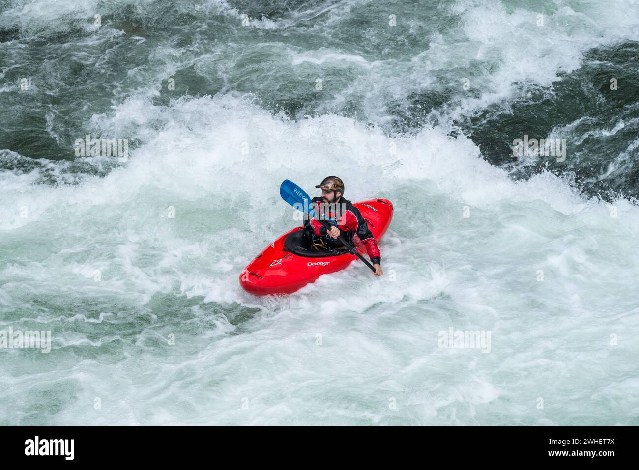 Pedro gomes hi-res stock photography and images - Alamy