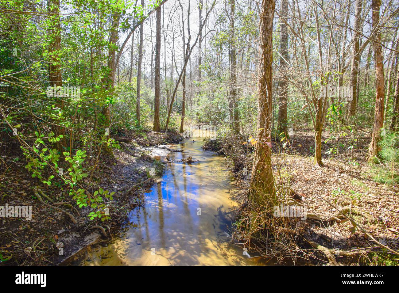 Garden of eden brook hi-res stock photography and images - Alamy