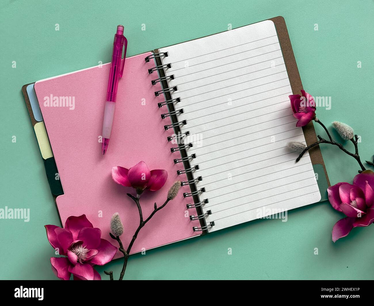 Magnolia study hi-res stock photography and images - Alamy