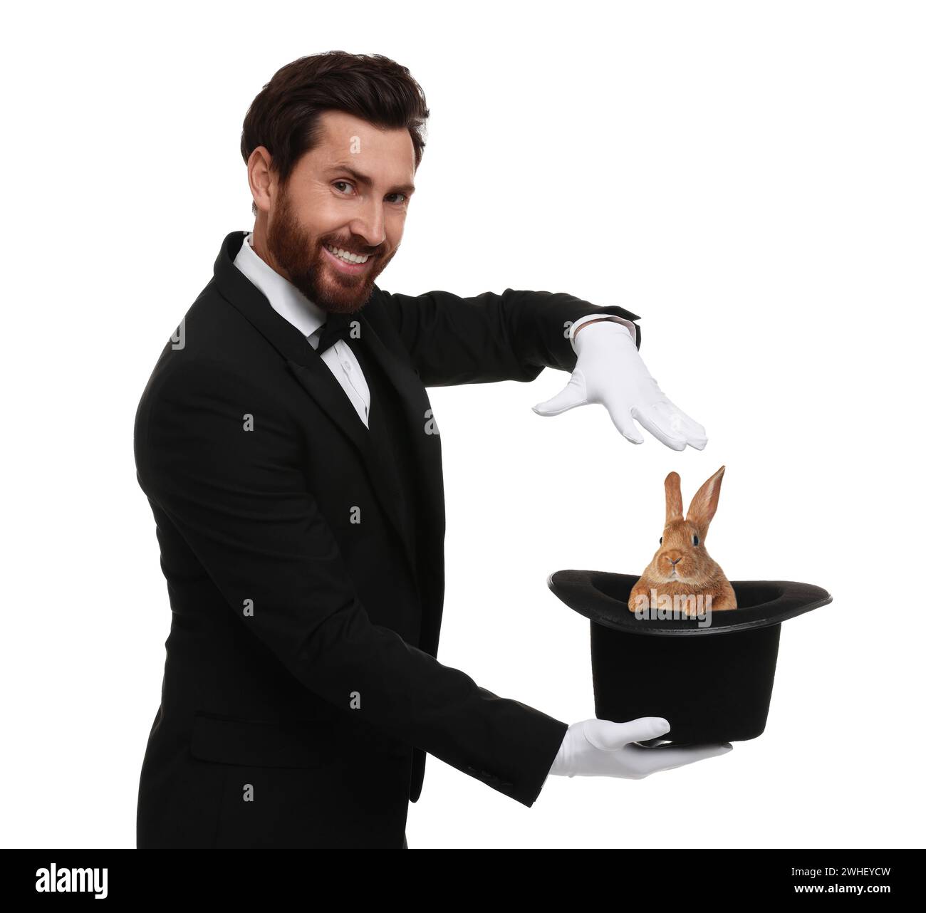 Magician showing trick with top hat and rabbit on white background ...