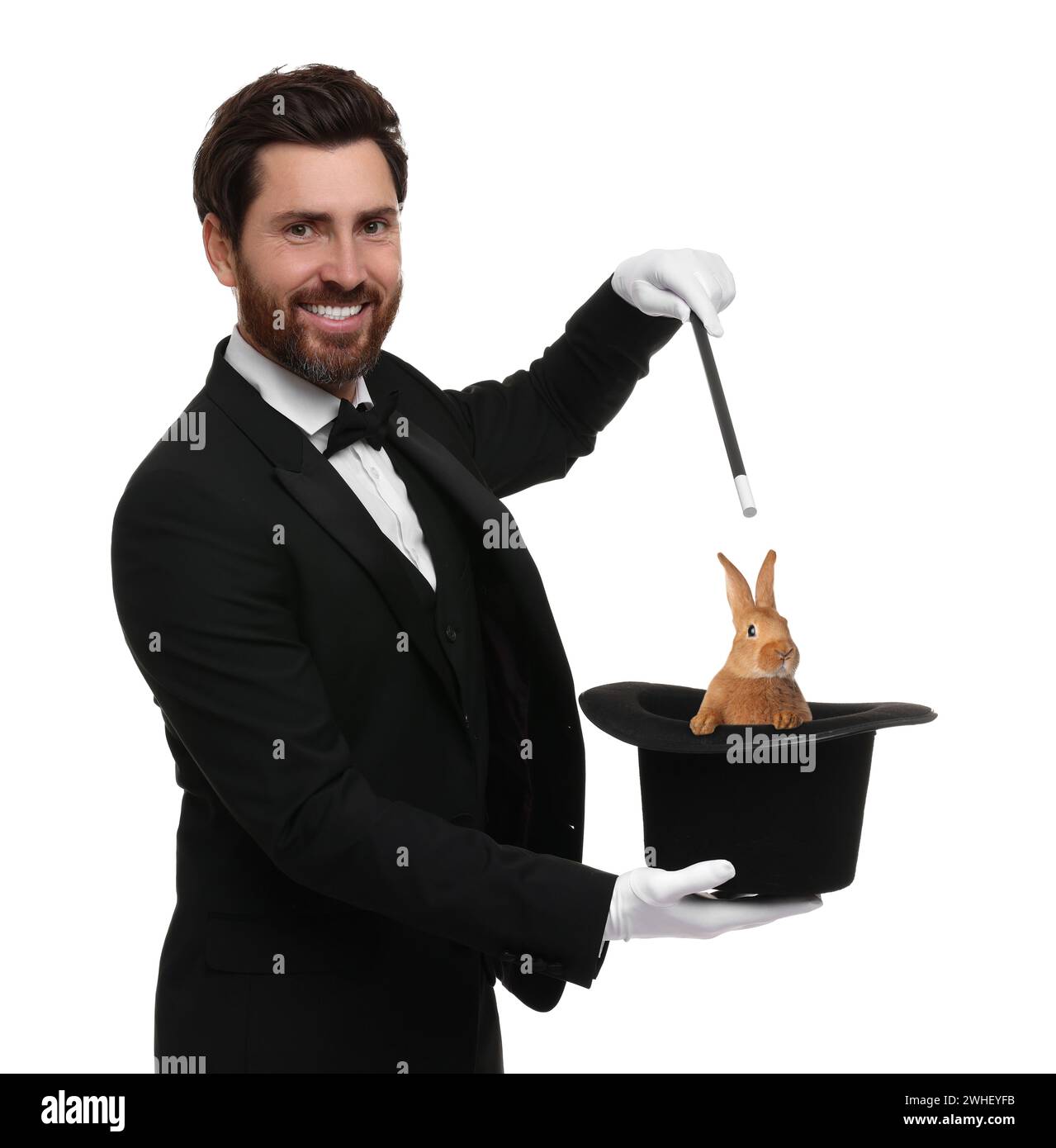 Magician showing trick with top hat and rabbit on white background ...