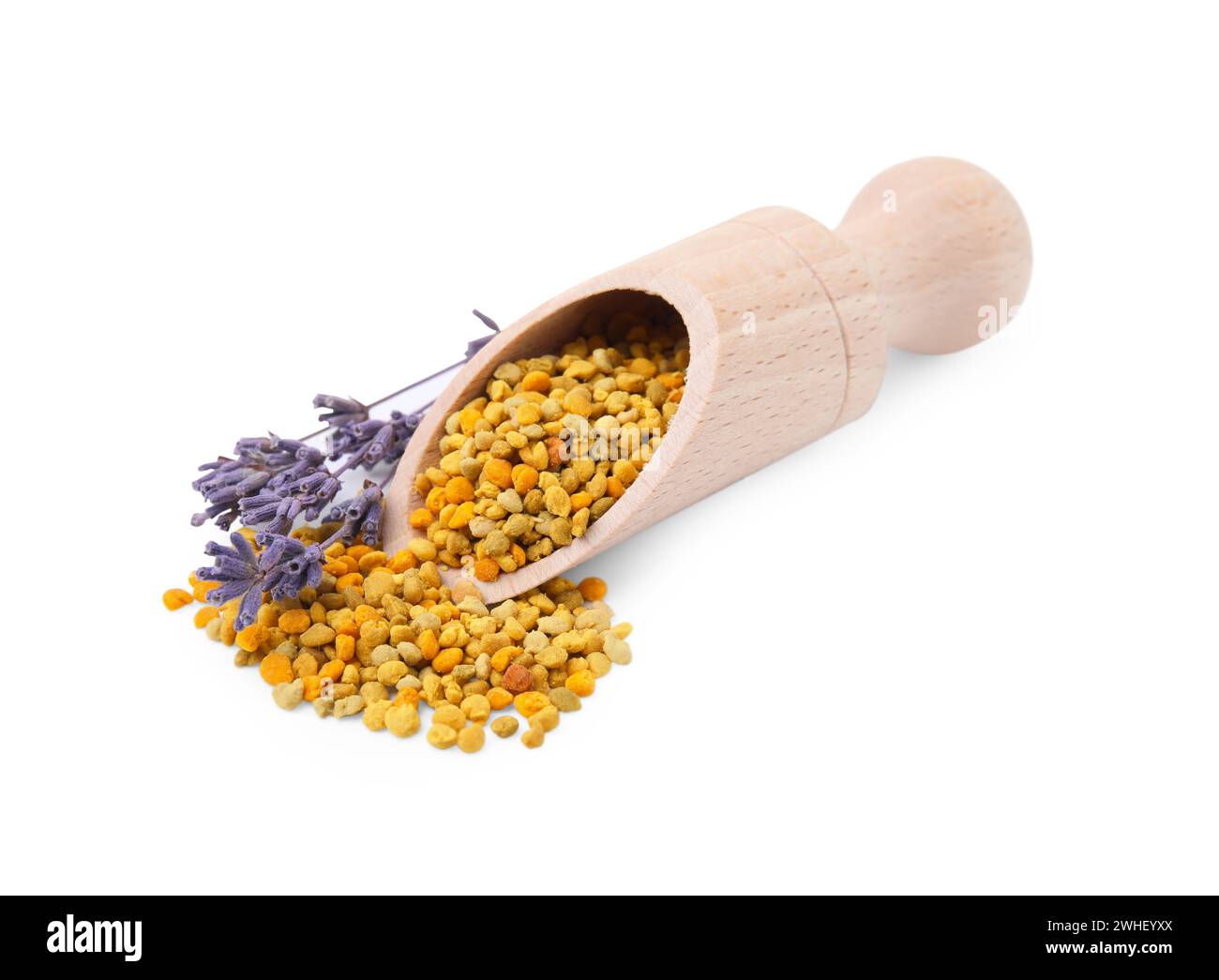 Scoop with fresh bee pollen granules and lavender isolated on white ...