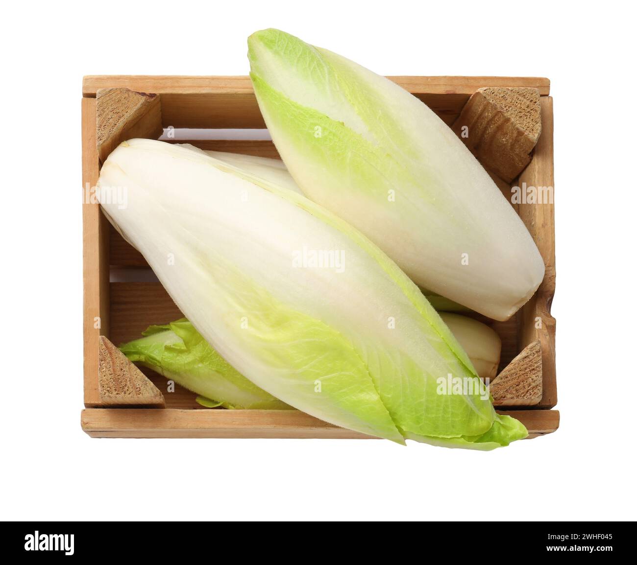 Raw chicories in wooden crate on white background, top view Stock Photo ...