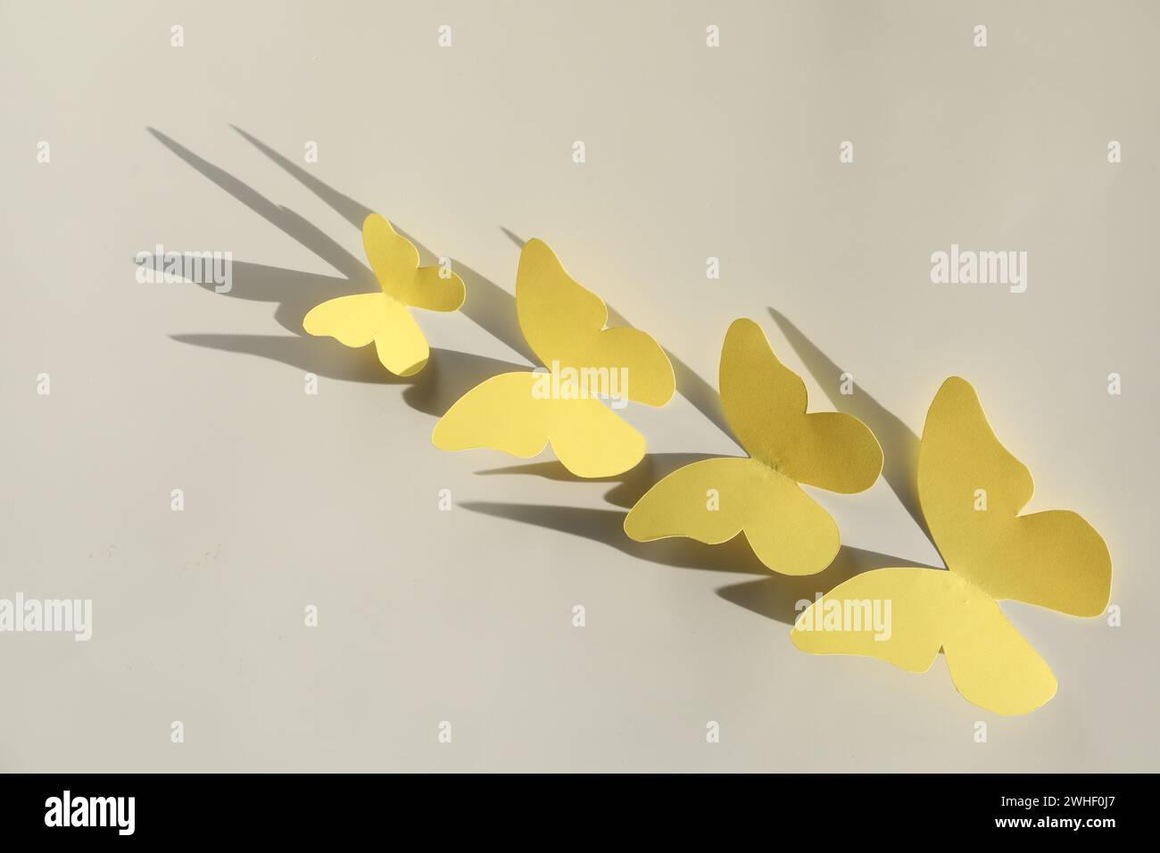 Yellow paper butterflies on light grey background, top view Stock Photo ...