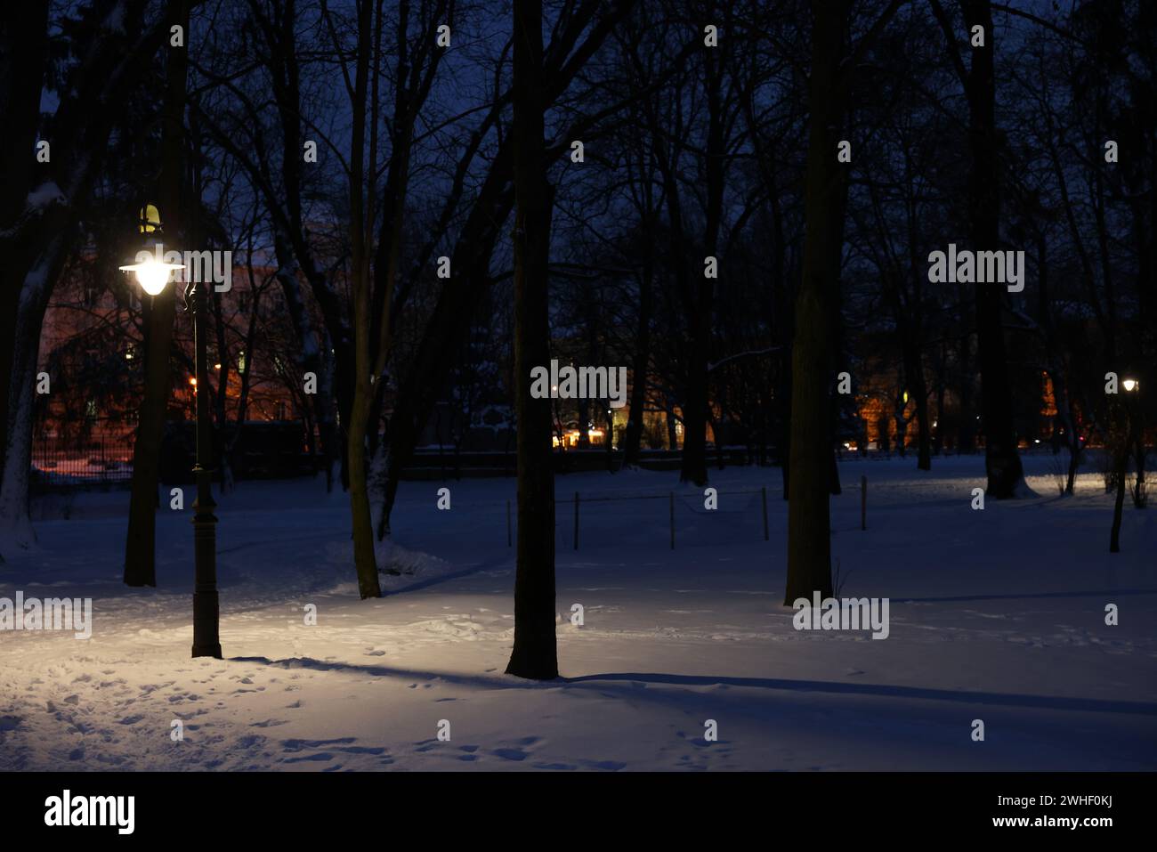 Trees, street lamp and snow in evening park Stock Photo - Alamy