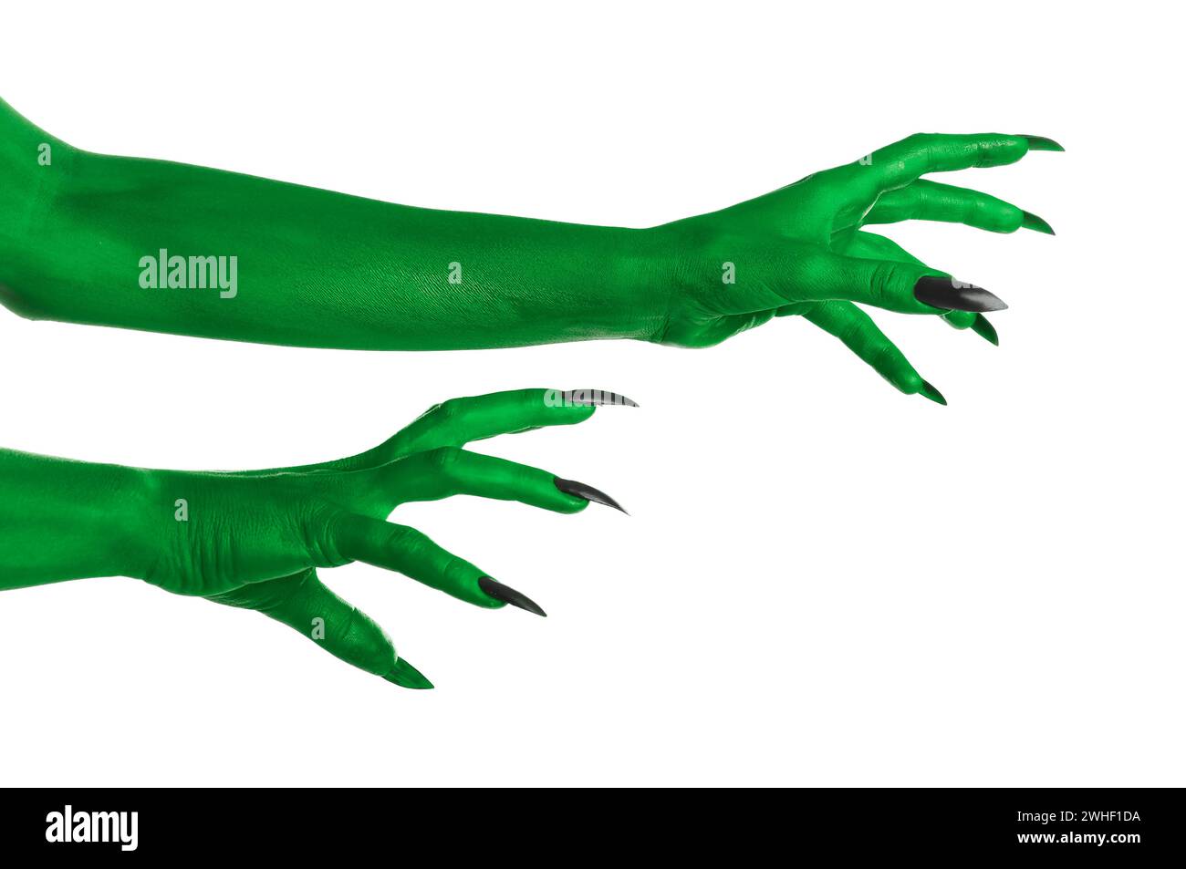 Creepy monster. Green hands with claws isolated on white Stock Photo ...