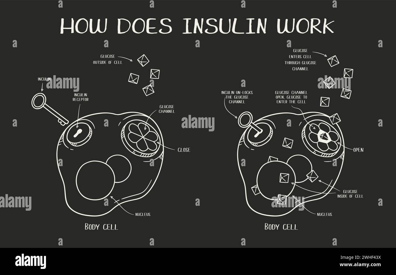 Explaining human Stock Vector Images - Alamy