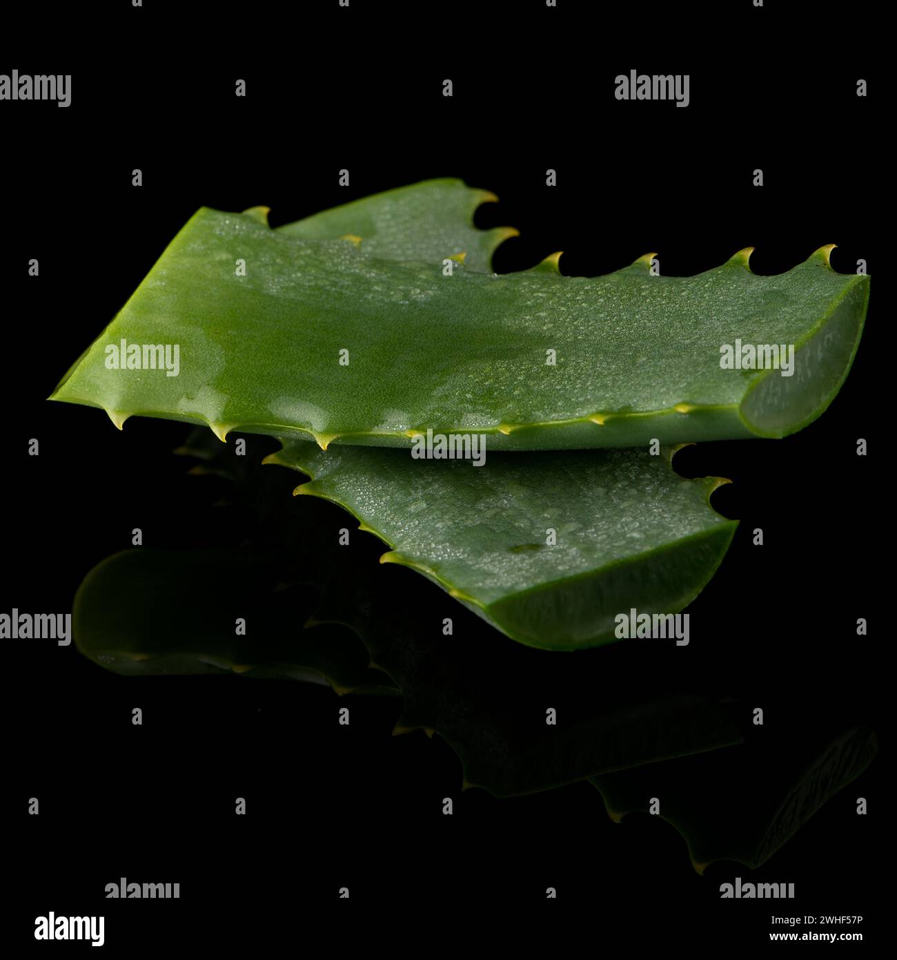 Complementary leaf hi-res stock photography and images - Alamy