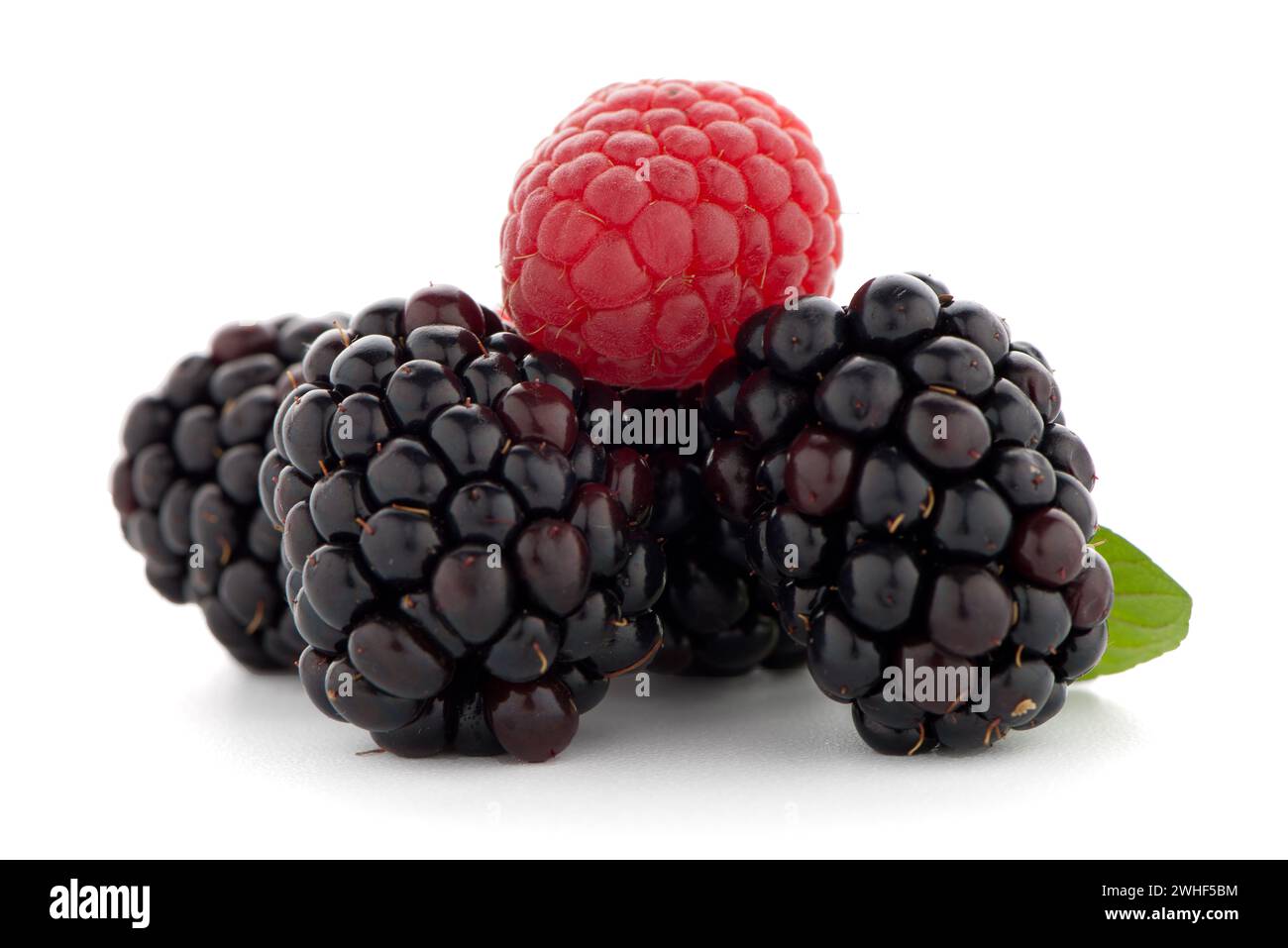 Raspberry with blackberry Stock Photo - Alamy