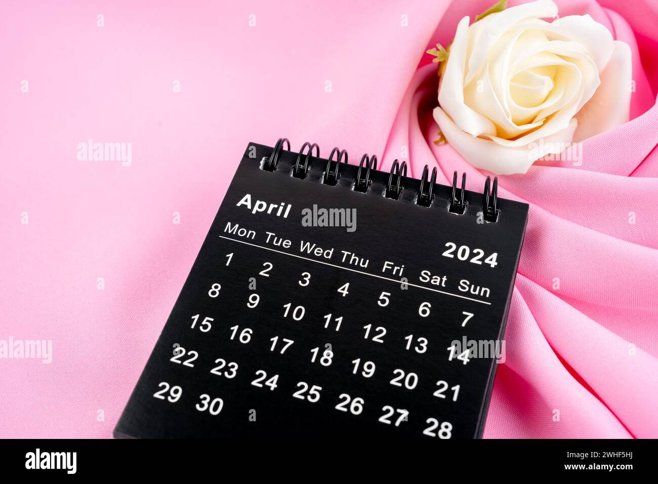 April 2024 desk calendar black color and rose on pink textile ...