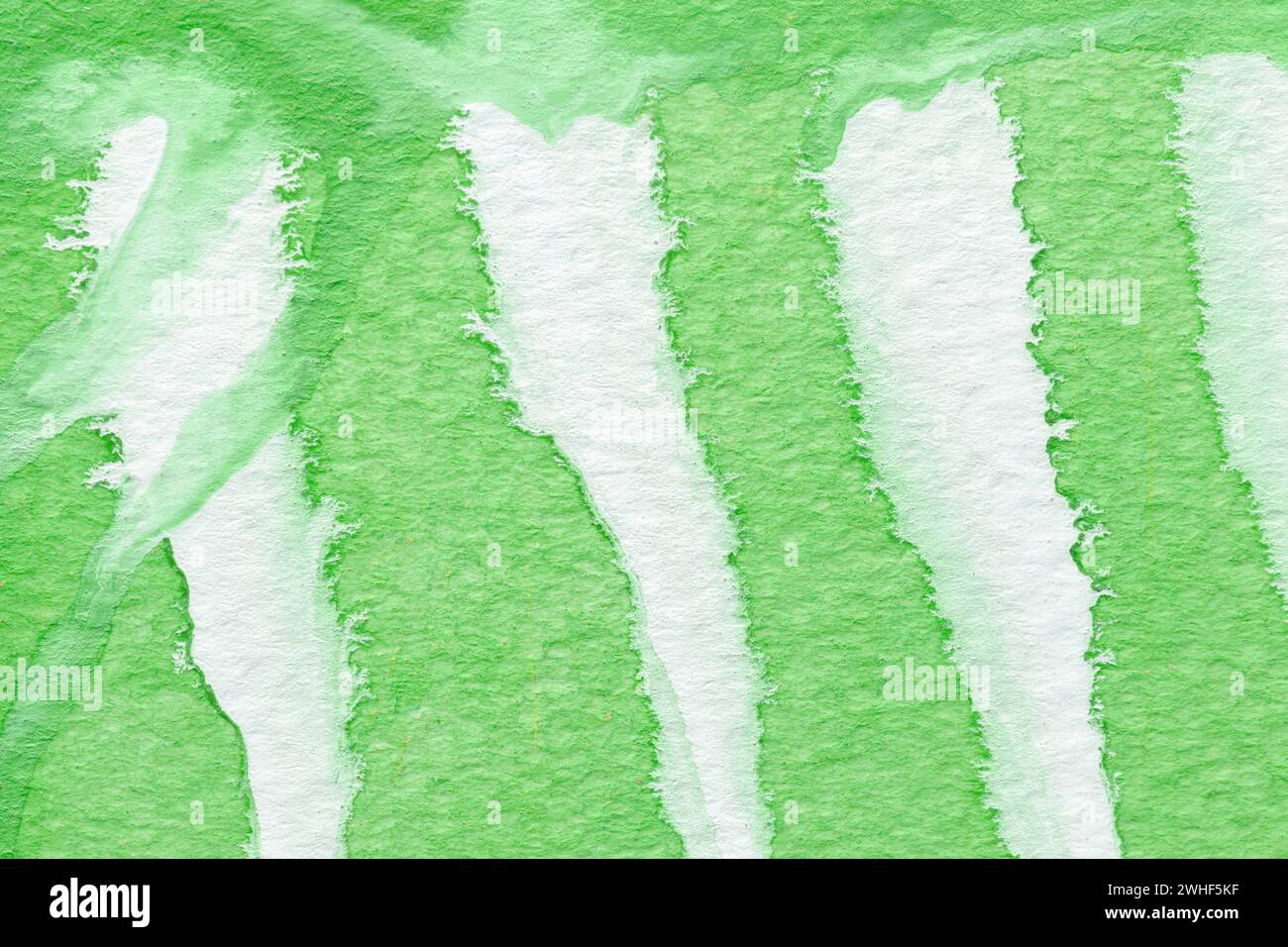 Watercolor green ombre on white paper texture Stock Photo - Alamy