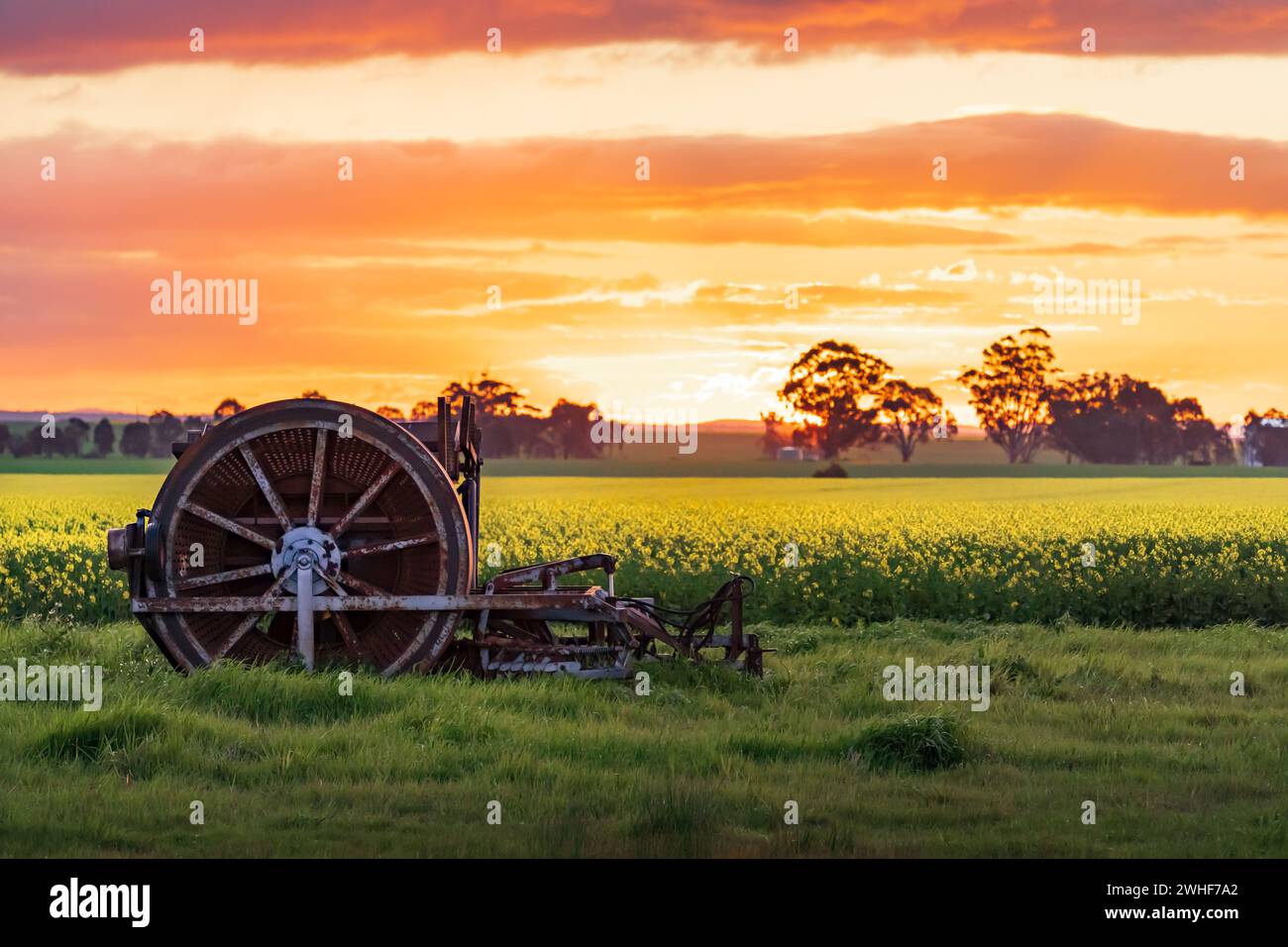 Old farm machinery in paddock hi-res stock photography and images - Alamy