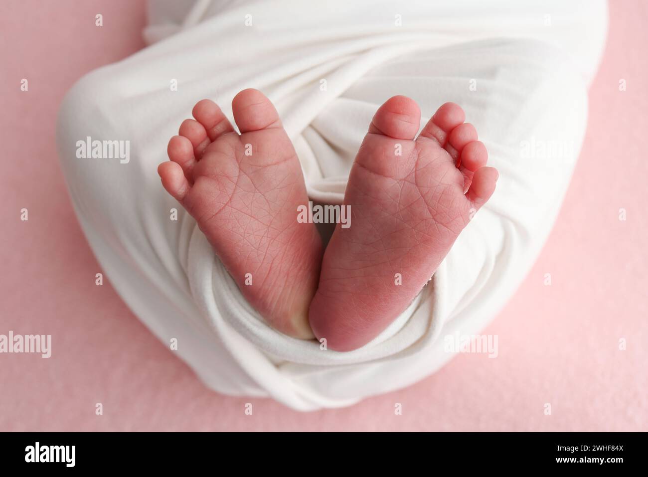 The tiny foot of a newborn baby. Soft feet of a new born in a white ...
