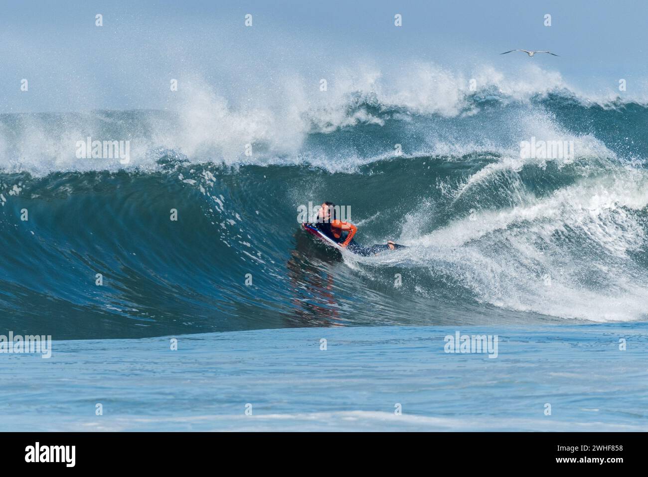 Bodyboarder in action Stock Photo - Alamy