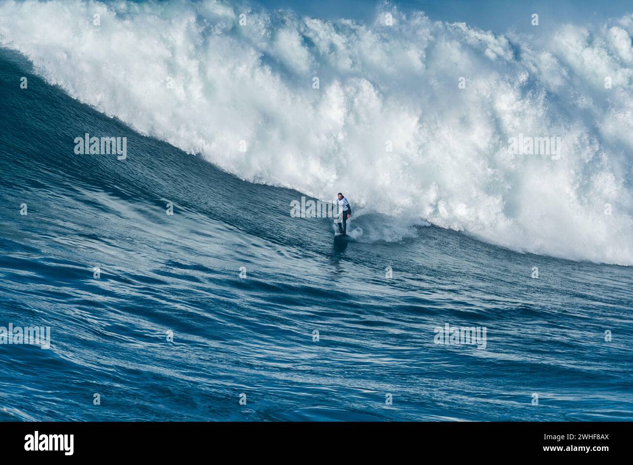 Trevor Carlson (HAW Stock Photo - Alamy